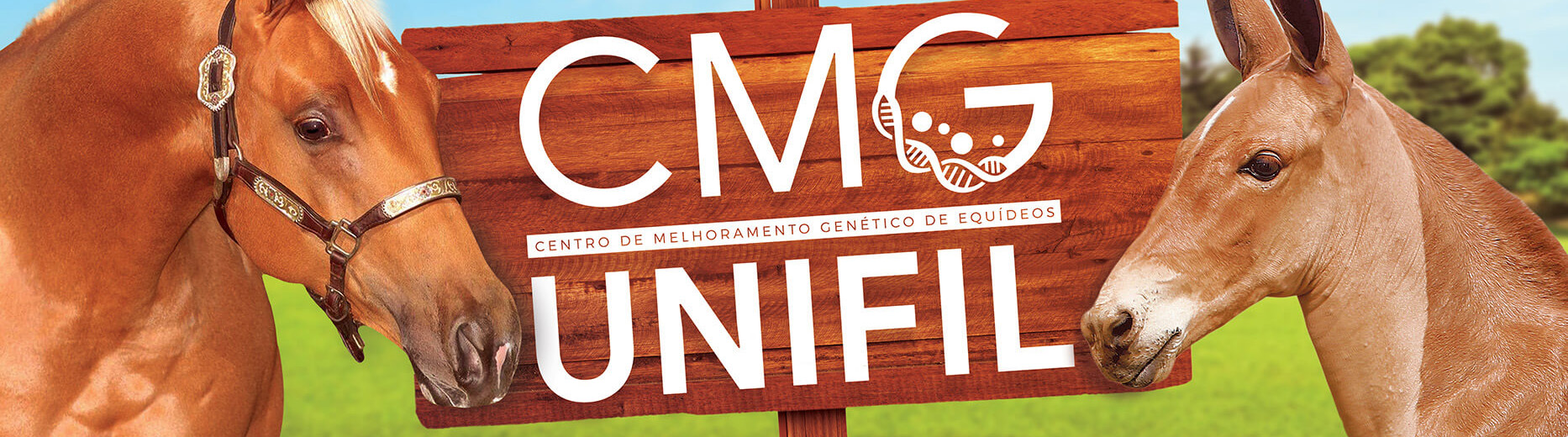 Hospital Veterinário - UniFil | CMG